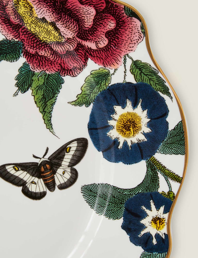 Set of 4 Creatures of Curiosity Dinner Plates | Spode | M&S