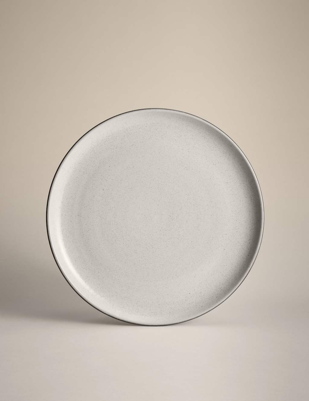 Set of 4 Michigan Dinner Plates | M&S Collection | M&S