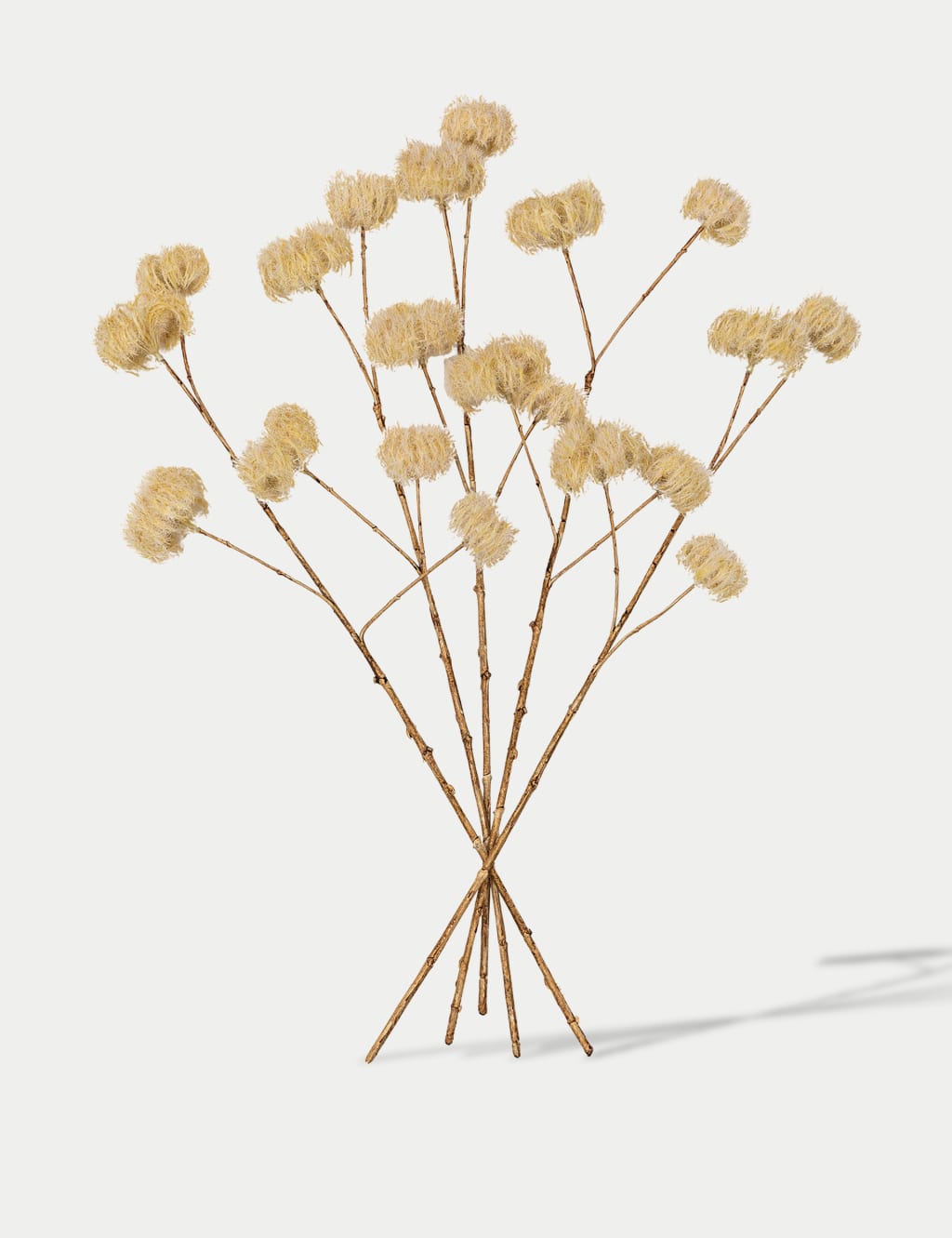 Set of 5 Artificial Dried Clematis Stems | Gallery Home | M&S