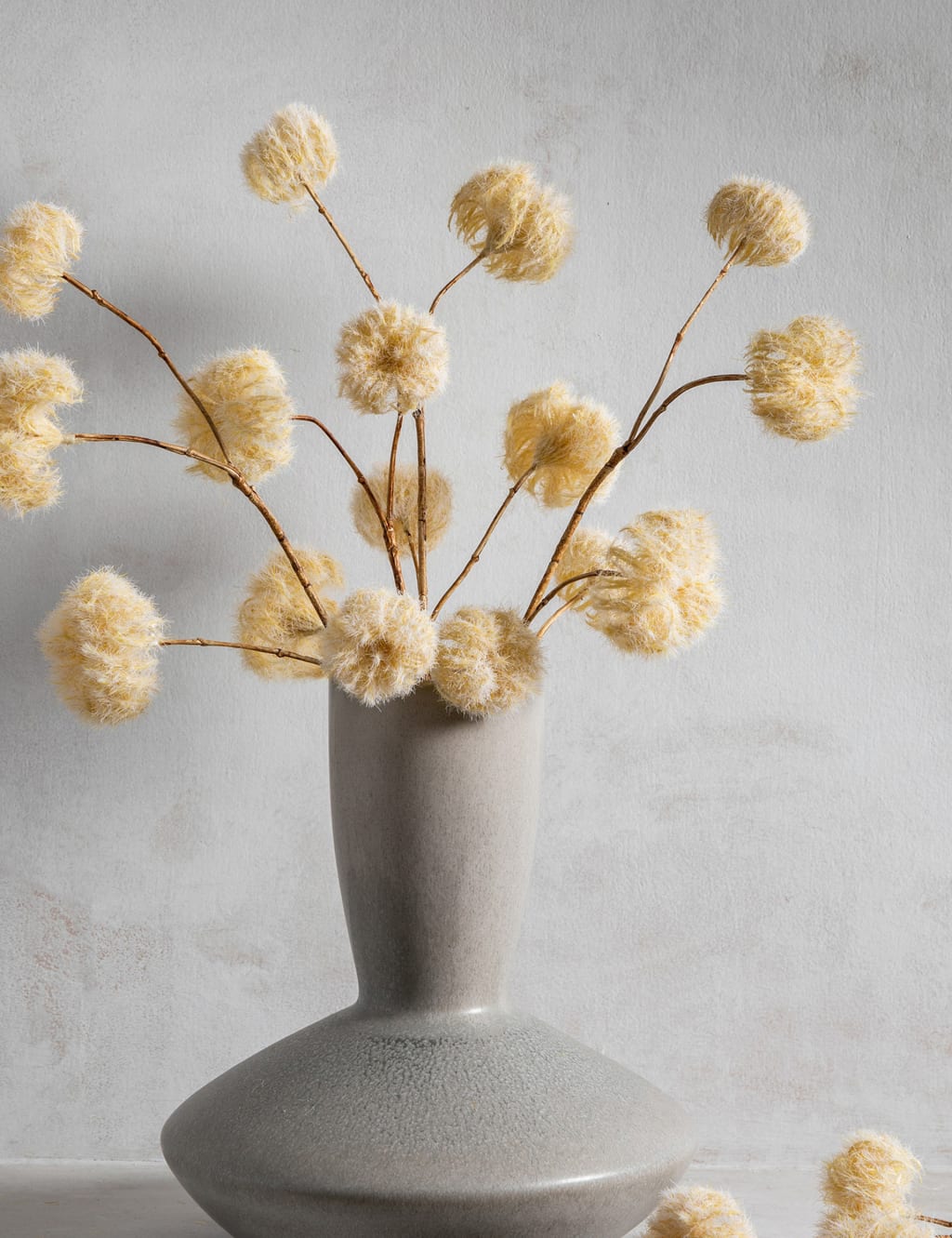 Set of 5 Artificial Dried Clematis Stems | Gallery Home | M&S