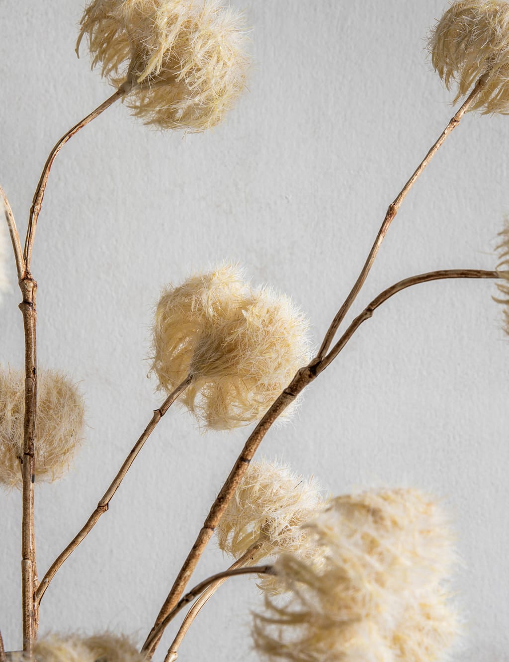 Set of 5 Artificial Dried Clematis Stems | Gallery Home | M&S