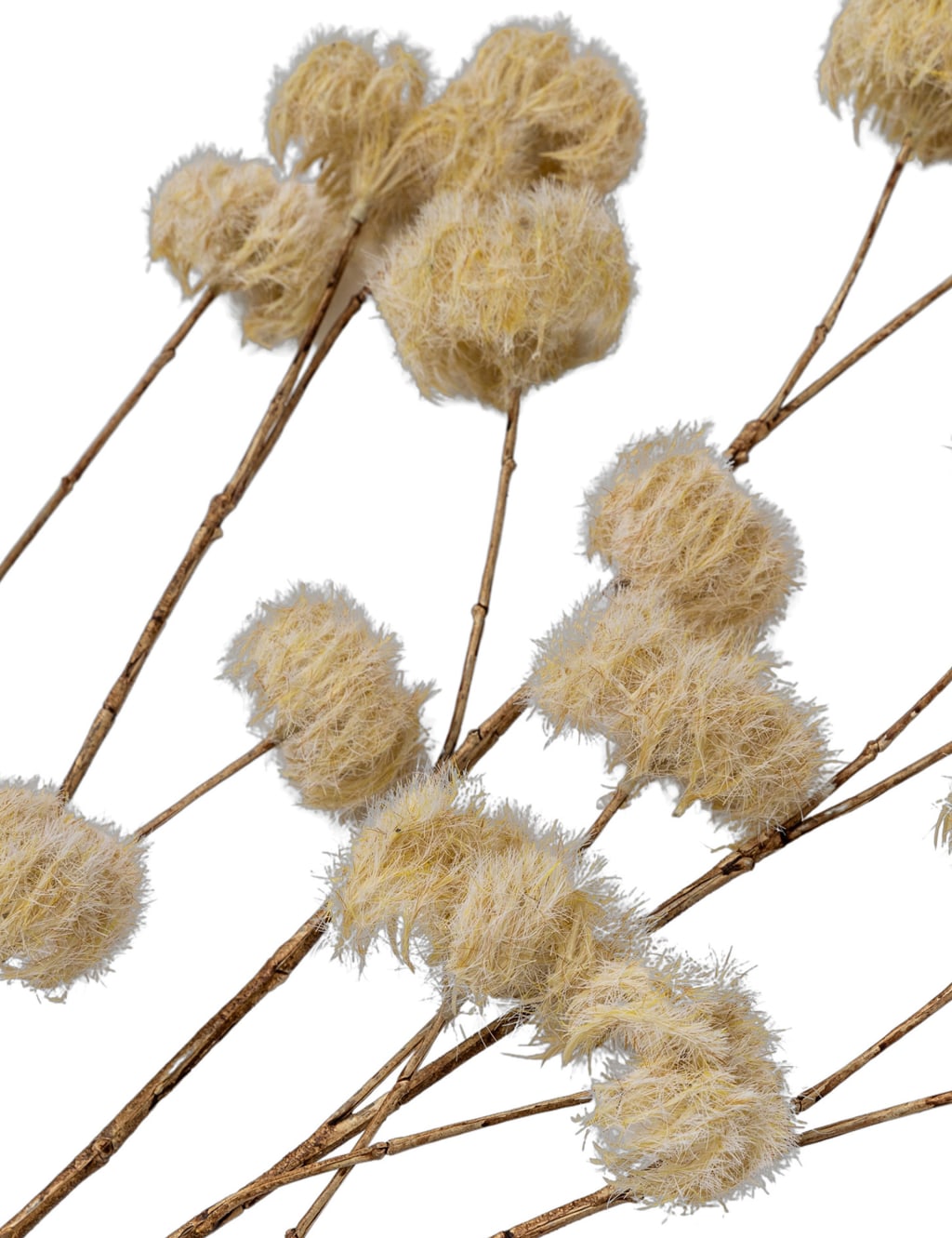 Set of 5 Artificial Dried Clematis Stems | Gallery Home | M&S