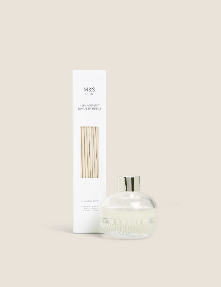 Set of 60 Natural Diffuser Reeds | M&S Collection | M&S