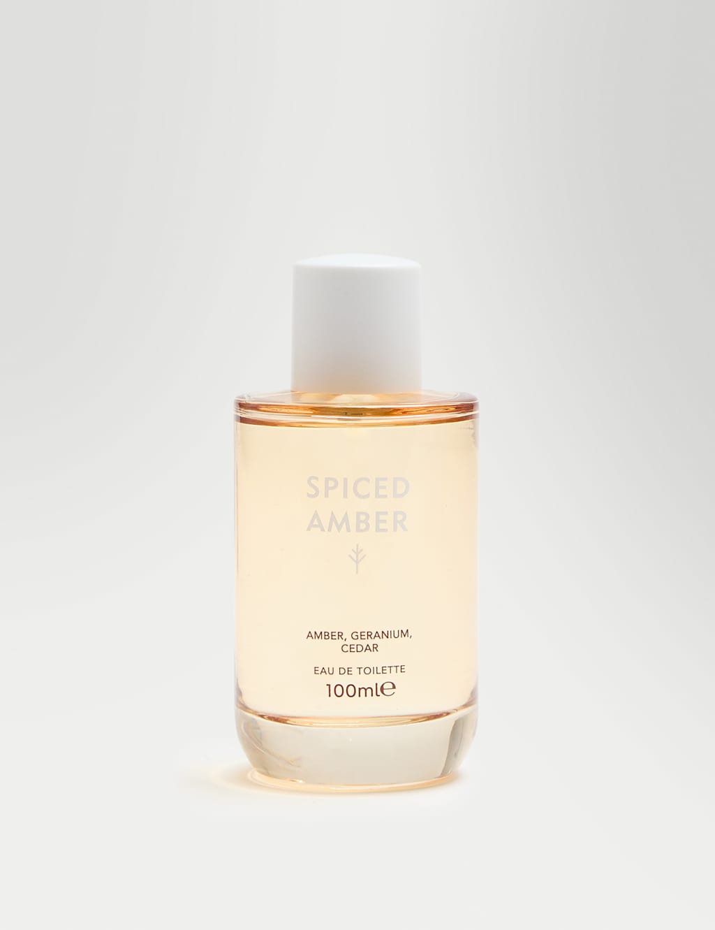 Spiced Amber Eau De Toilette 100ml | Discover | M&S