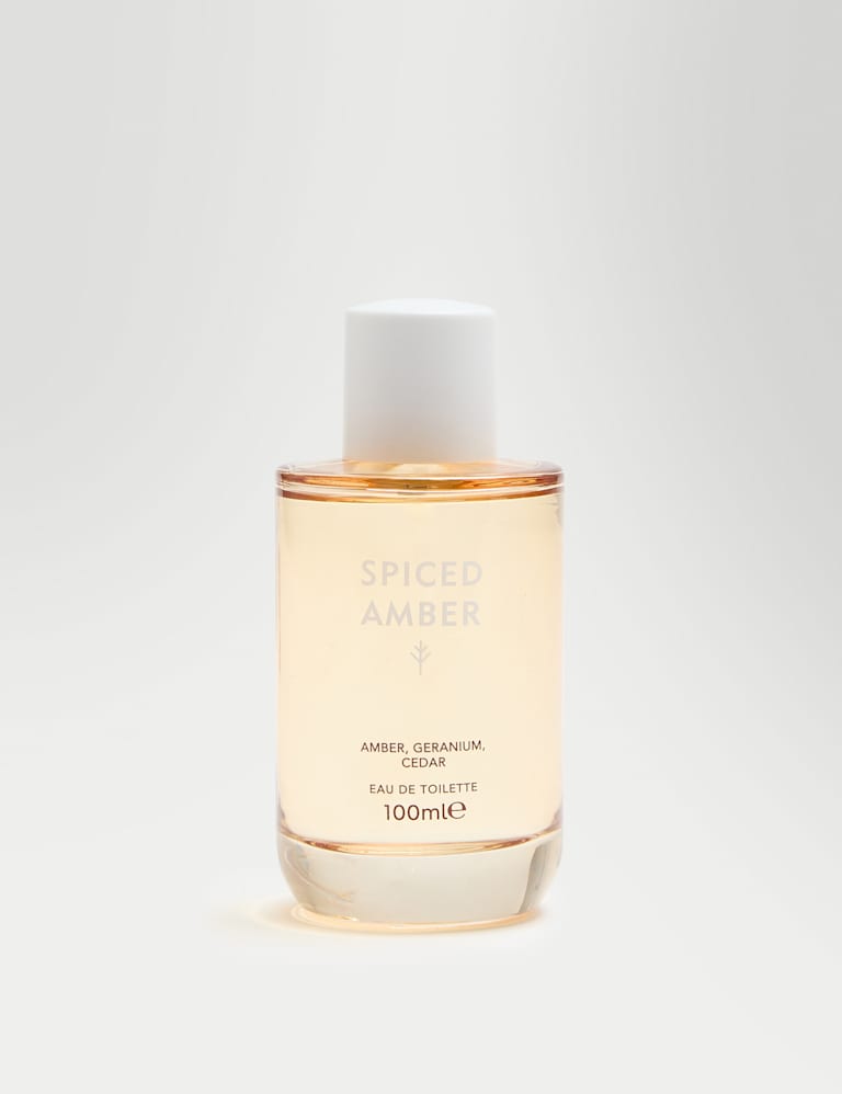 Spiced Amber Eau De Toilette 100ml | Discover | M&S