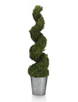 Spiral Topiary | M&S
