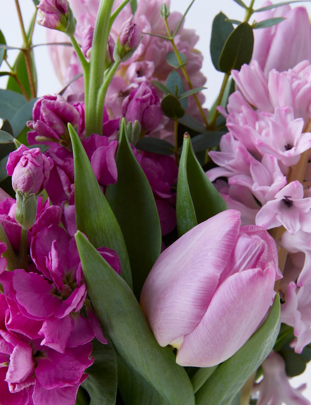 Springtime February Fabulous Flower Bouquet | M&S