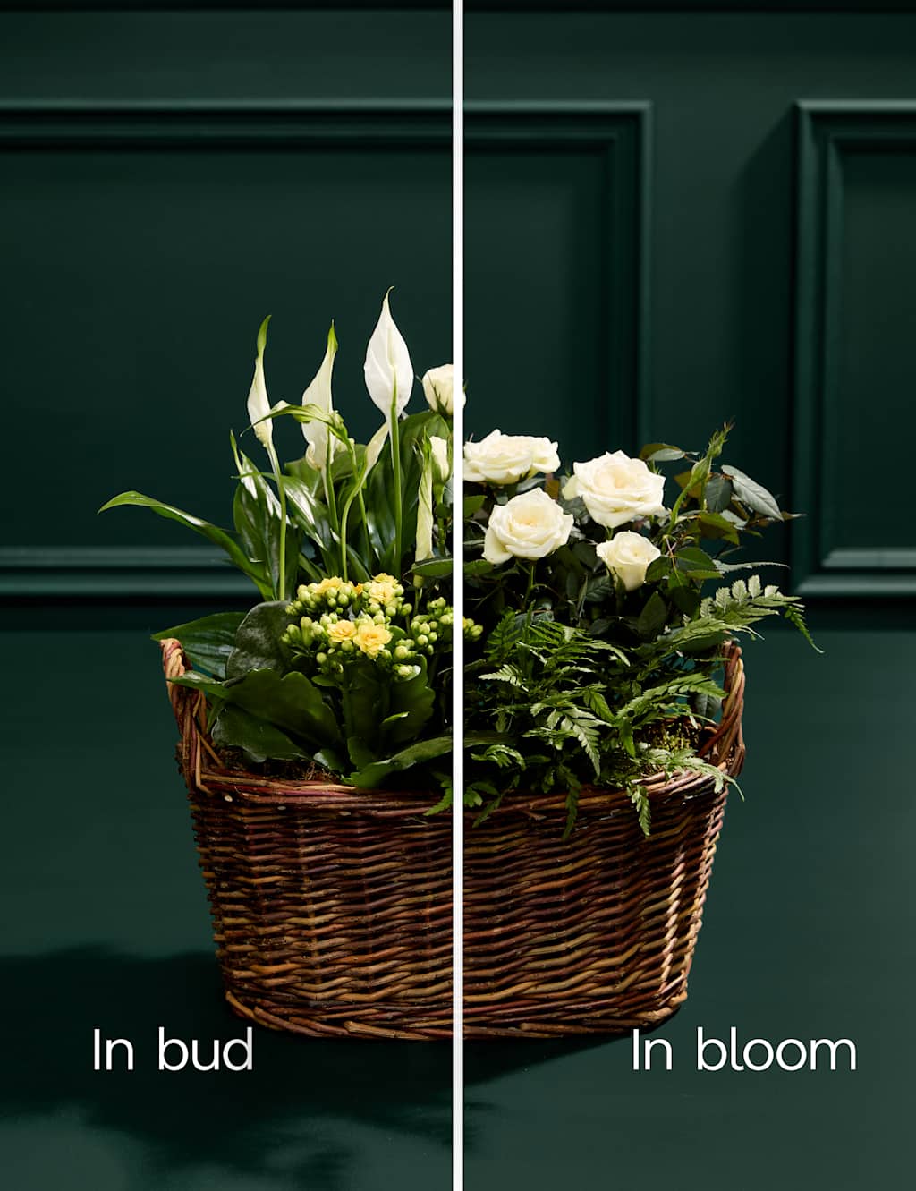 Summer Flowering Basket & Milk Florentines | M&S