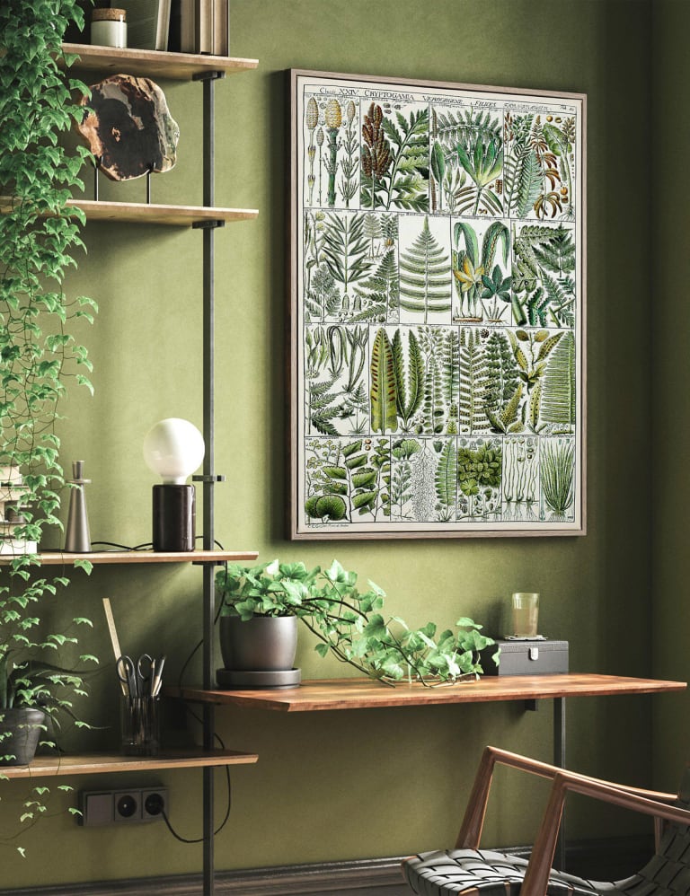 The Botanist Botanical Framed Art | Gallery Home | M&S
