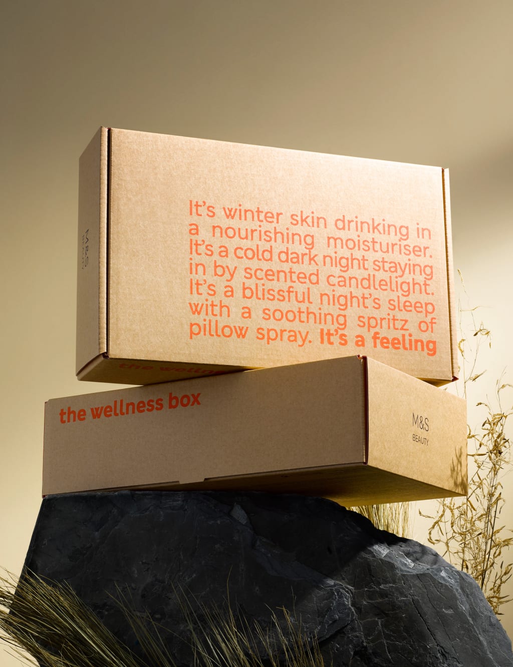 The Wellness Box 2024 | M&S Collection | M&S