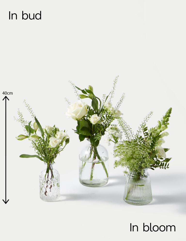 Three White Rose Posies with Bud Vases | M&S