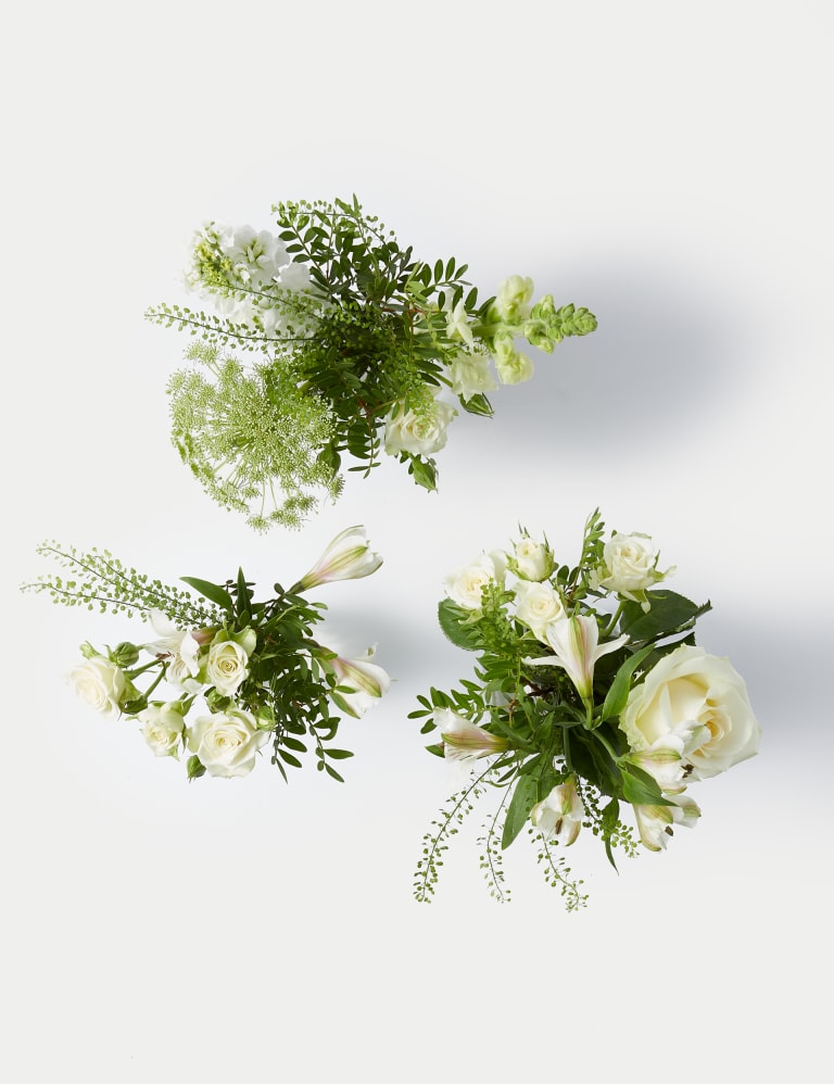 Three White Rose Posies with Bud Vases | M&S