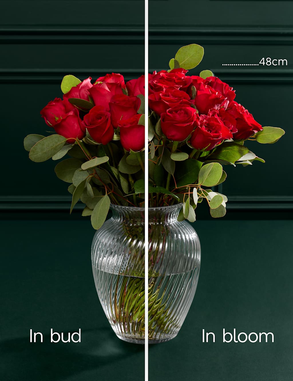 Valentine's Freedom ™ Rose & Eucalyptus Bouquet | M&S