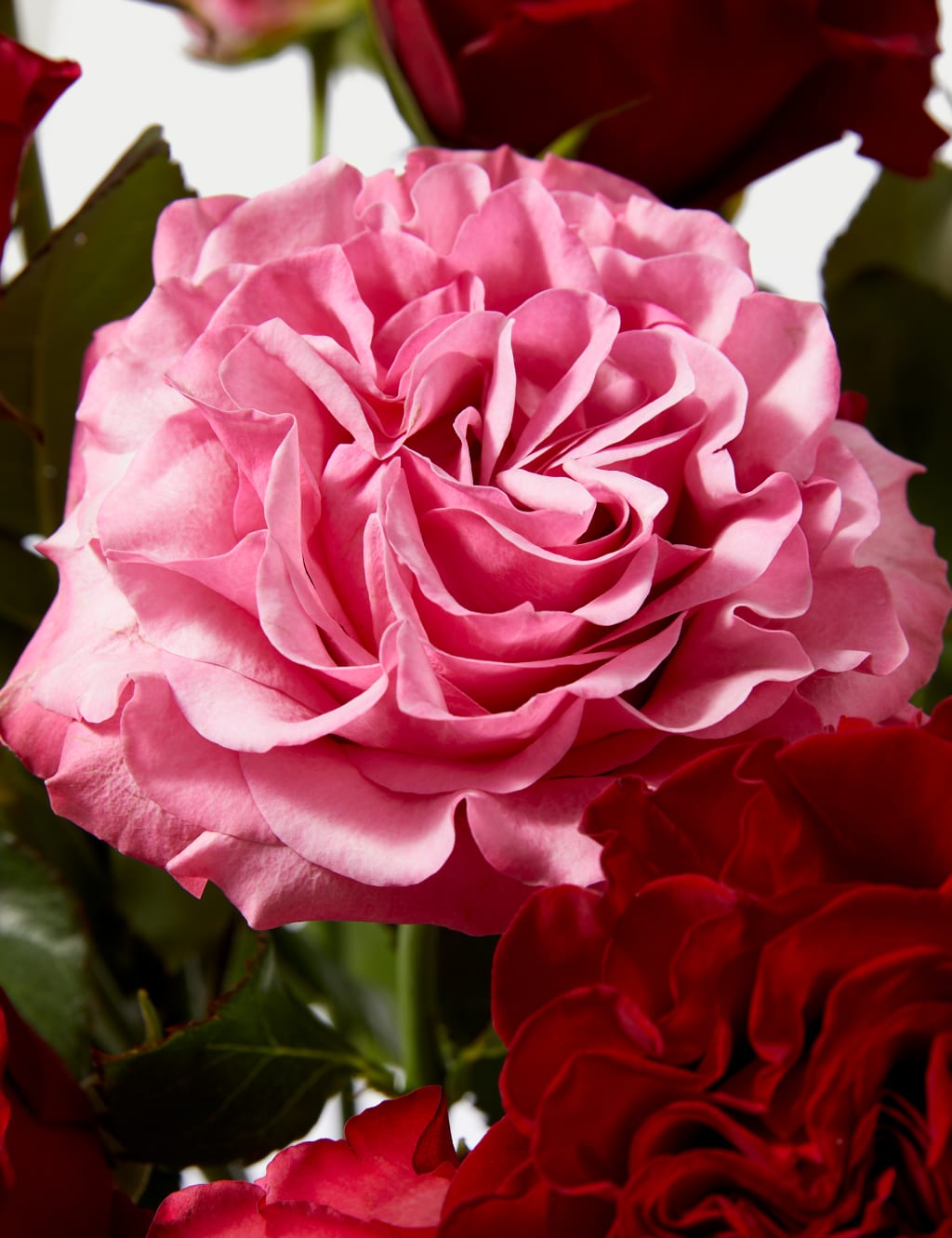 Valentine's Mixed Pink & Red Rose Bouquet | M&S