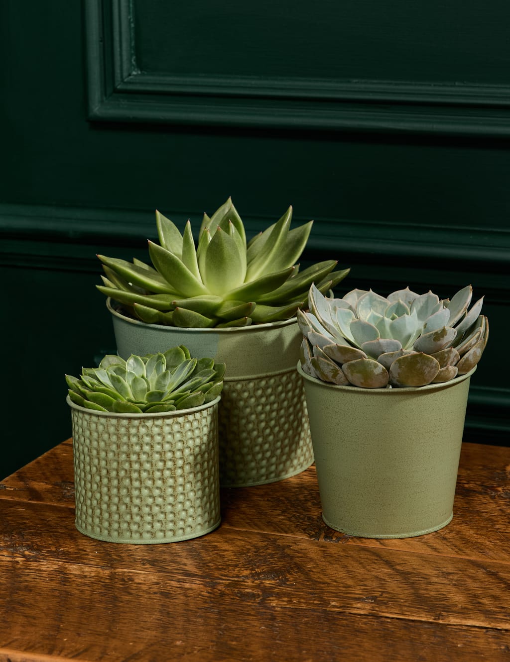 Verdi Gris Trio | M&S