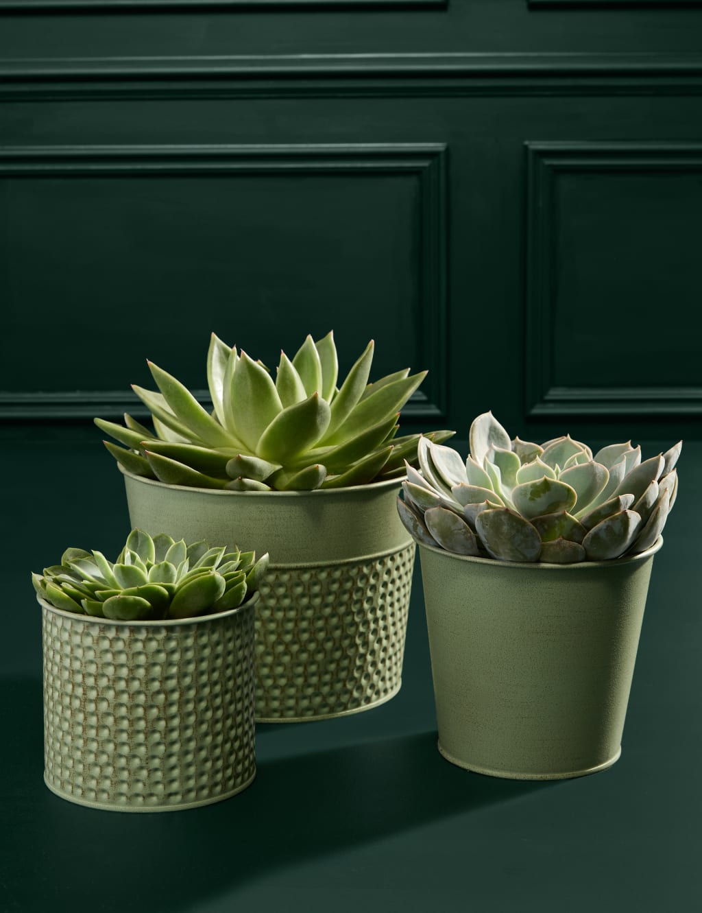 Verdi Gris Trio | M&S