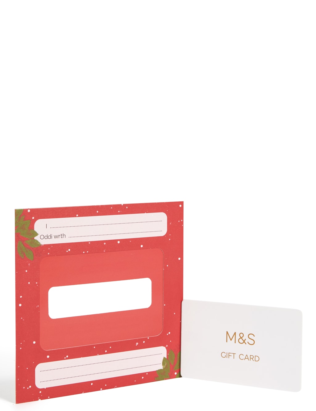 Welsh Robin Gift Card | M&S