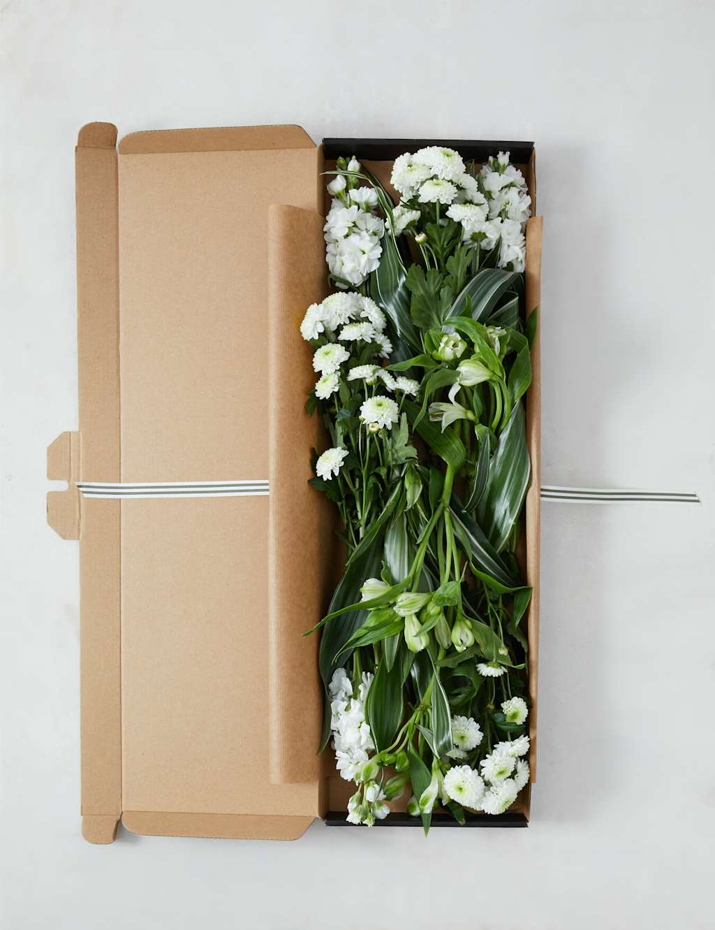 White Spring Letterbox | M&S